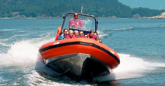 New Sea Safari Tour Added « Sewell's Marina